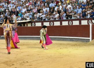 Voy a Los Toros | El Portal Taurino de Colombia