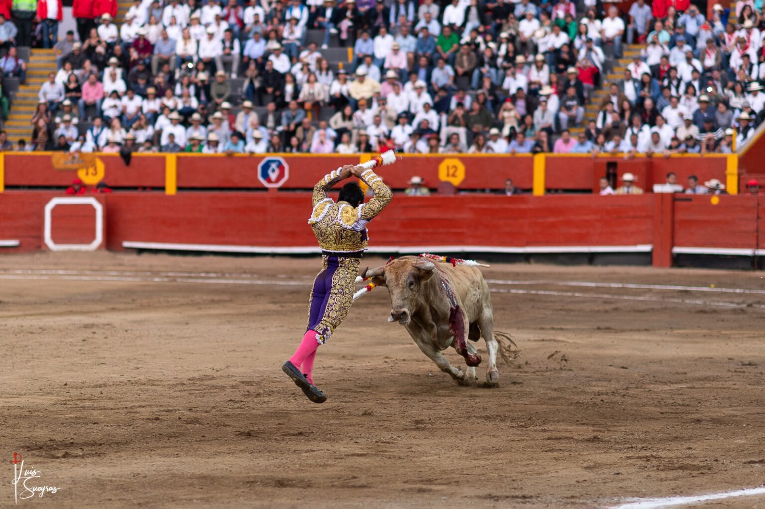 Variedad de nombres: Carteles de la FISS 2026 | Voy a Los Toros